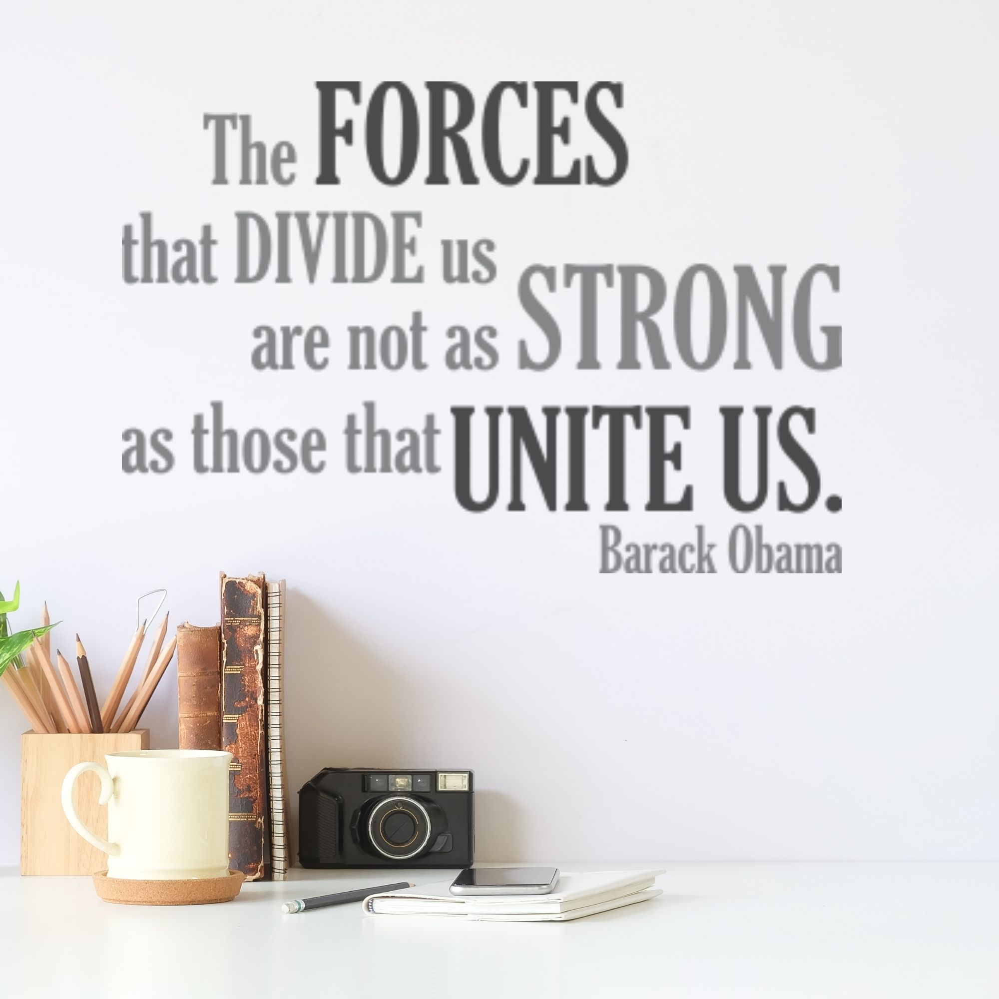 the-forces-that-divide-us-are-not-as-strong-as-those-that-unite-us ...